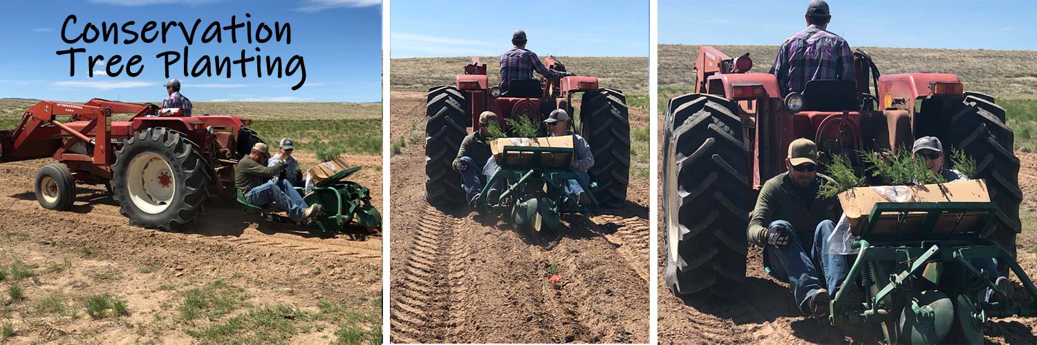 Home- SER Conservation District- Saratoga, WY